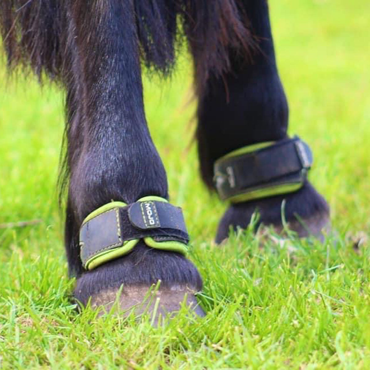 MOJO Deluxe Horse Pastern Wraps | Balance, Energy & Protection – AV Edge